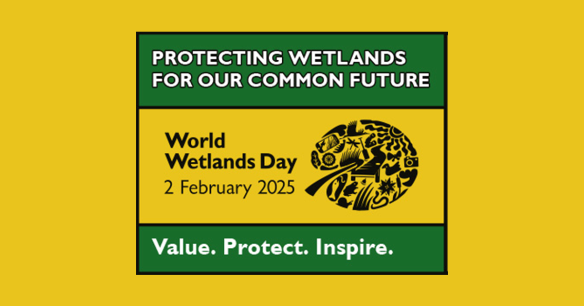 Comune di Bientina - Giornata Mondiale Zone Umide - TRAVERSATA DEL ...